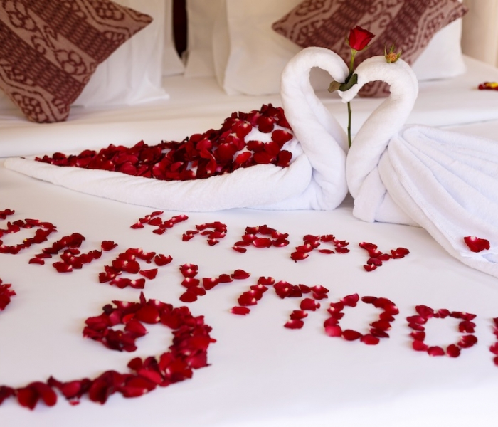 Gallery – Adepa Resort