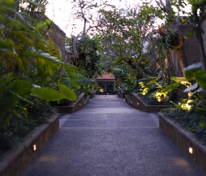 Gallery – Adepa Resort